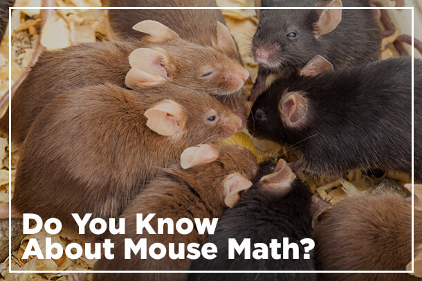 Blog | Yellow Pages of Pakistan